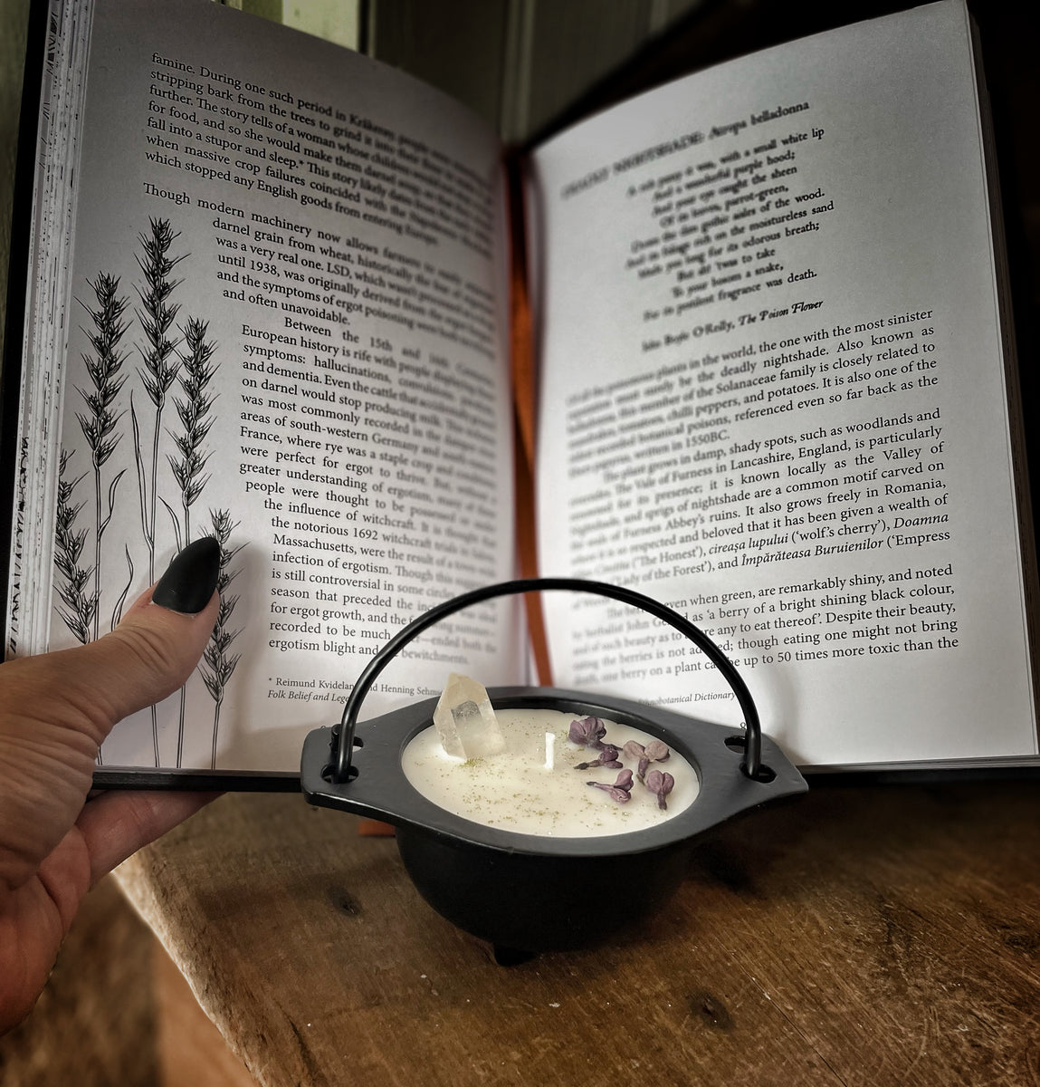 Deadly Nightshade Cauldron – Ohio Wick House