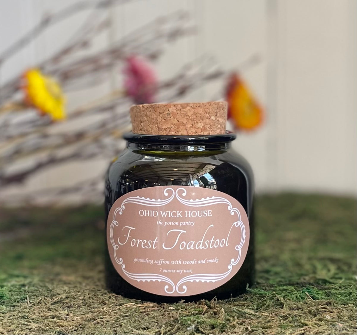 Forest Toadstool – Ohio Wick House